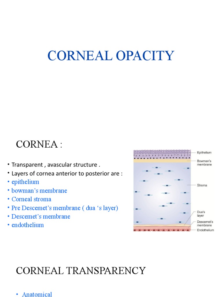 Corneal Opacity 2 | PDF | Cornea | Clinical Medicine