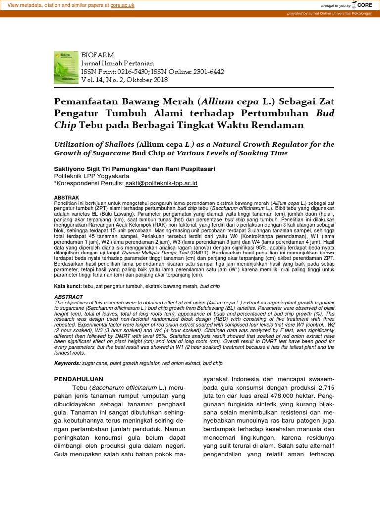 Pemanfaatan Bawang Merah (Allium Cepa L.) Sebagai Zat Pengatur Tumbuh Alami Terhadap Pertumbuhan ...
