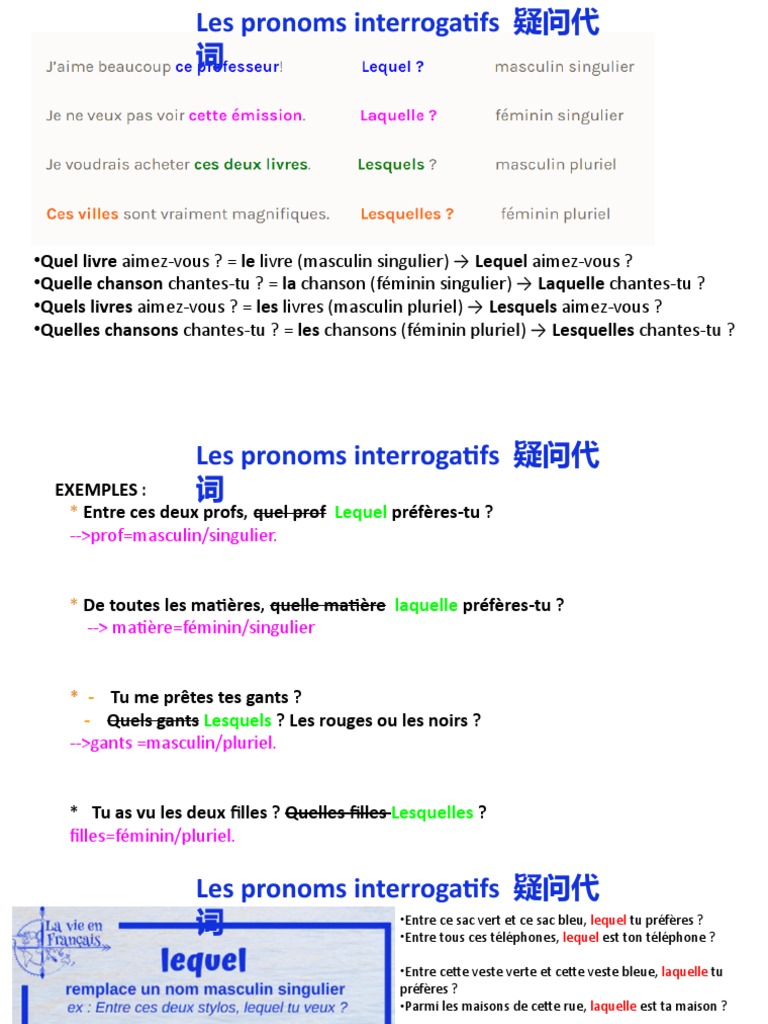 Lequel Laquelle Lesquels Lesquelles用法总结 | PDF | Nombre grammatical ...