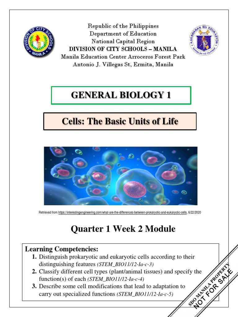 General Biology q1 w2 Mod2 | PDF | Epithelium | Tissue (Biology)