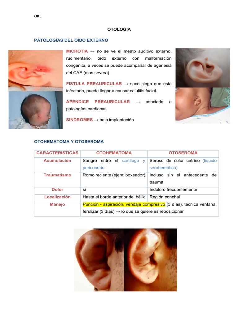 Orl Resumen | PDF | Escuchando | Oído
