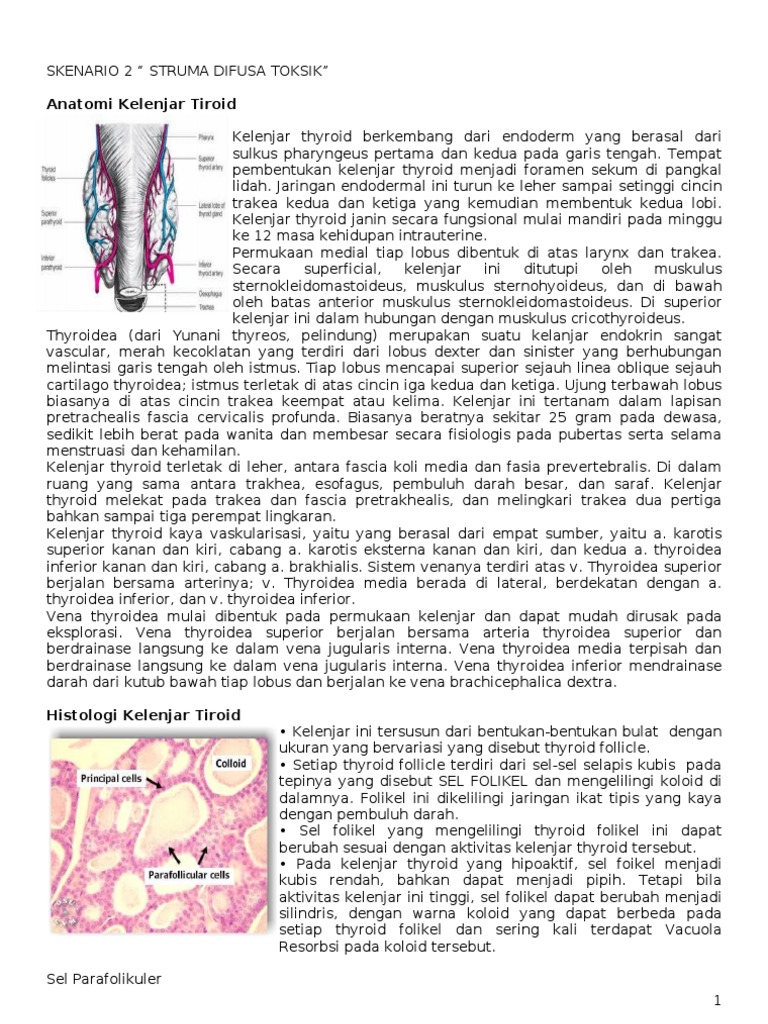 Struma Difusa Toksik | PDF