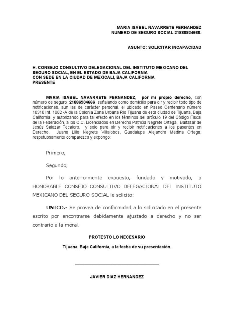 Consejo - Consultivo Imss Navarrete Fernandez Maria Isabel | PDF | Derecho