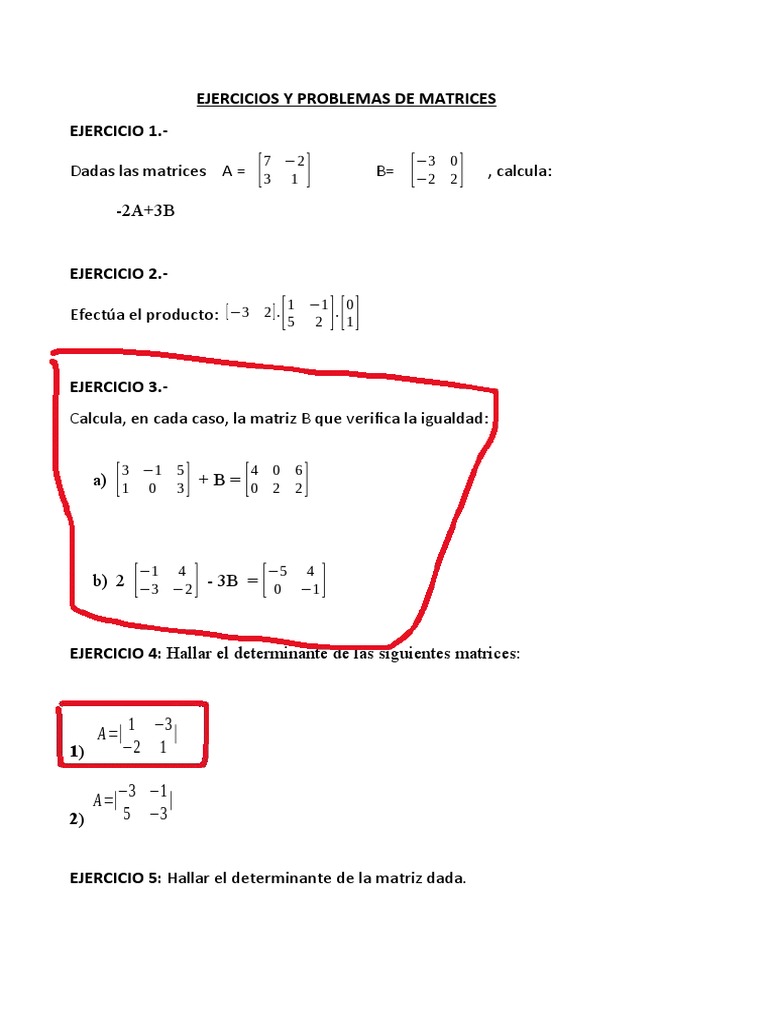 Ejercicios y Problemas de Matrices | PDF