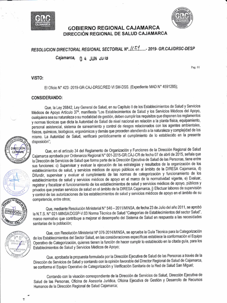 Designacion para Actualizacion de Datos RENIPRESS | PDF | Gobierno ...