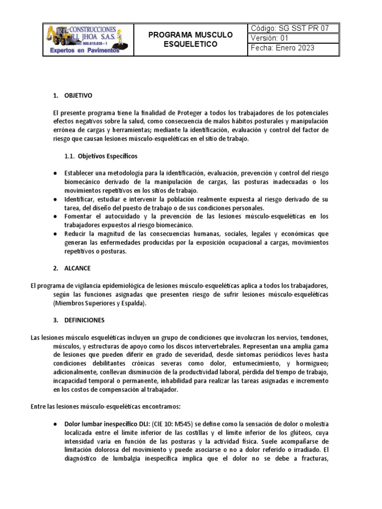 P-05 Programa Musculo Esqueletico | PDF | Seguridad y salud ocupacional ...