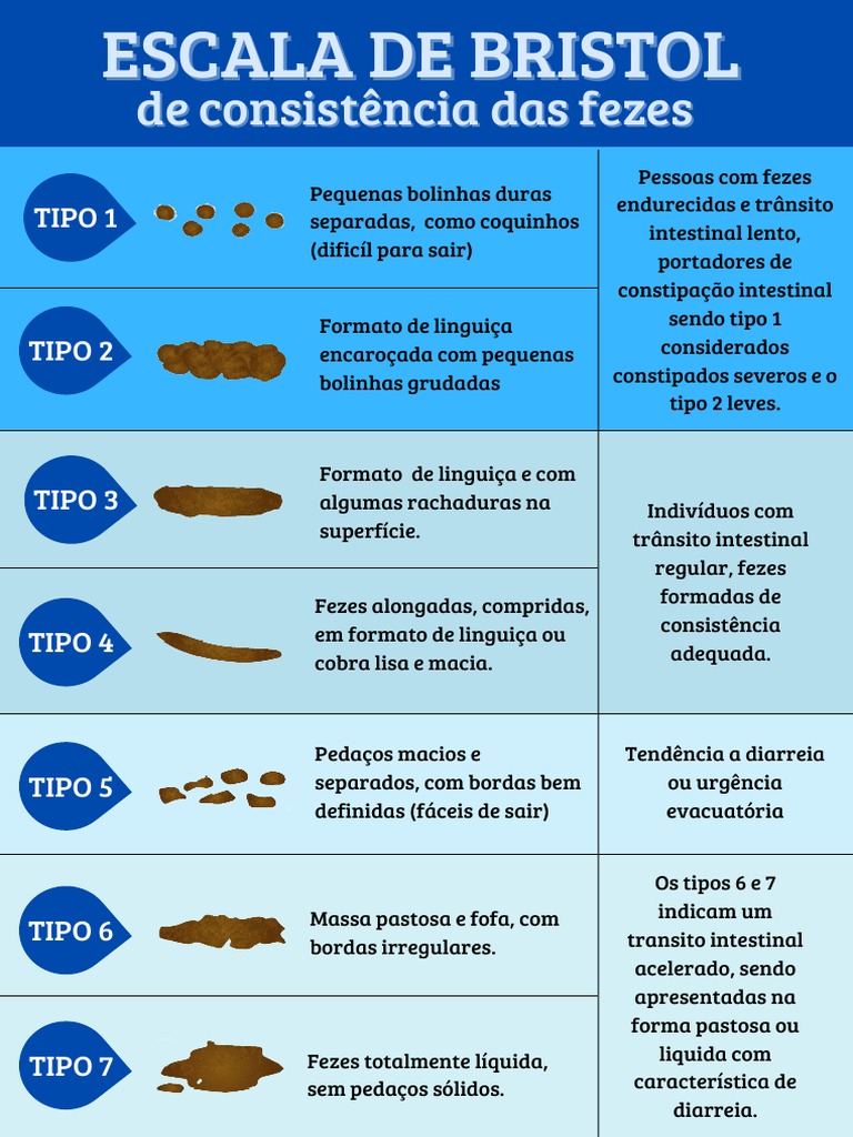 Escala de Bristol e Urina para Imprimir - lucox.cl