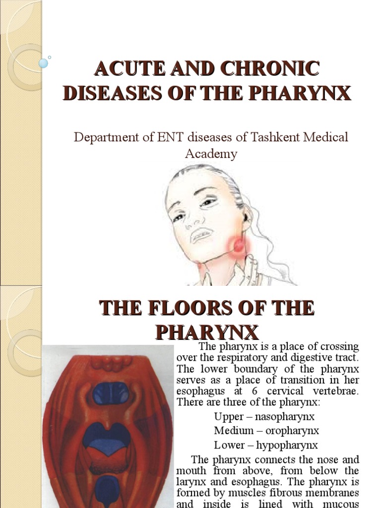Acute and Chronic Diseases of The Pharynx | PDF | Anatomy | Human Anatomy