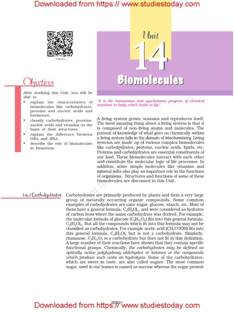 NCERT Class 12 Chemistry Biomolecules | PDF | Carbohydrates | Protein ...