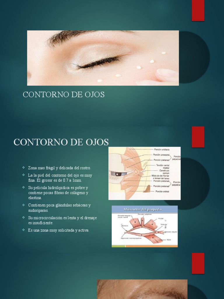 Contorno de Ojos | PDF