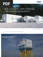 2023-10-19 Clean Hydrogen Ladder 5.0 | PDF | Biogas | Hydrogen