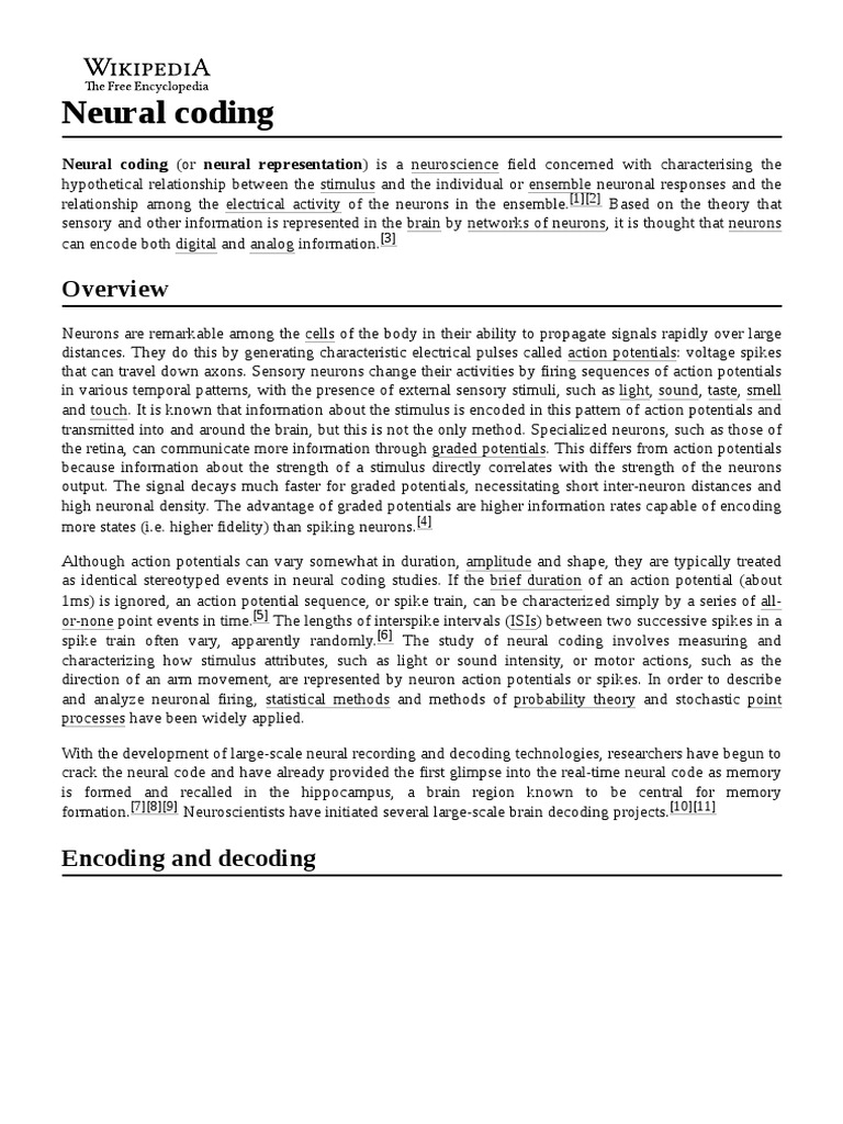 Neural Coding | PDF | Neural Oscillation | Action Potential
