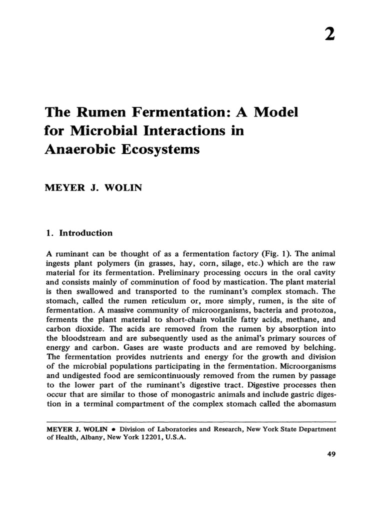 The Rumen Fermentation A Model | PDF | Ruminant | Digestion