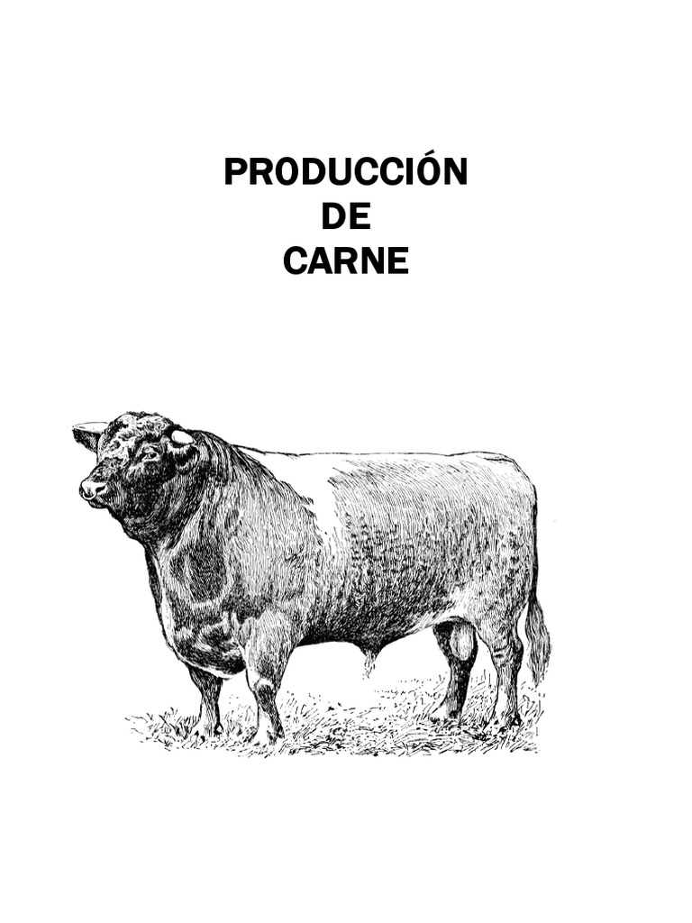Compilado Produccion De Carne Internado Pdf Vacas Virus