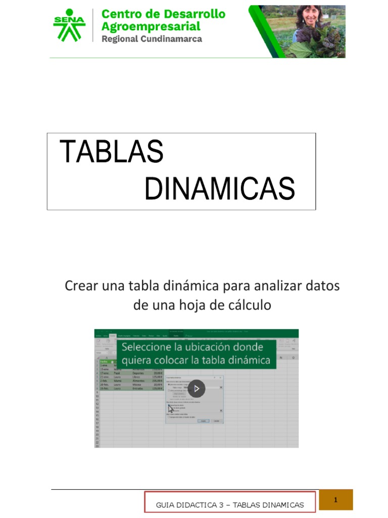 Guia Didactica 3 - Tablas Dinamicas | Descargar gratis PDF | Microsoft Excel | Desviación Estándar