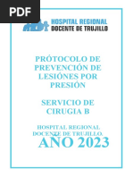 Lesiones Por Presion | PDF