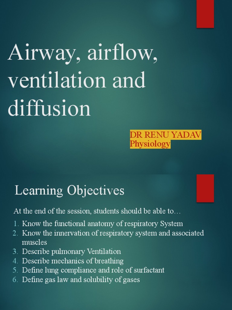 1.airway, Airflow, Ventilation and Diffusion | Download Free PDF | Lung ...