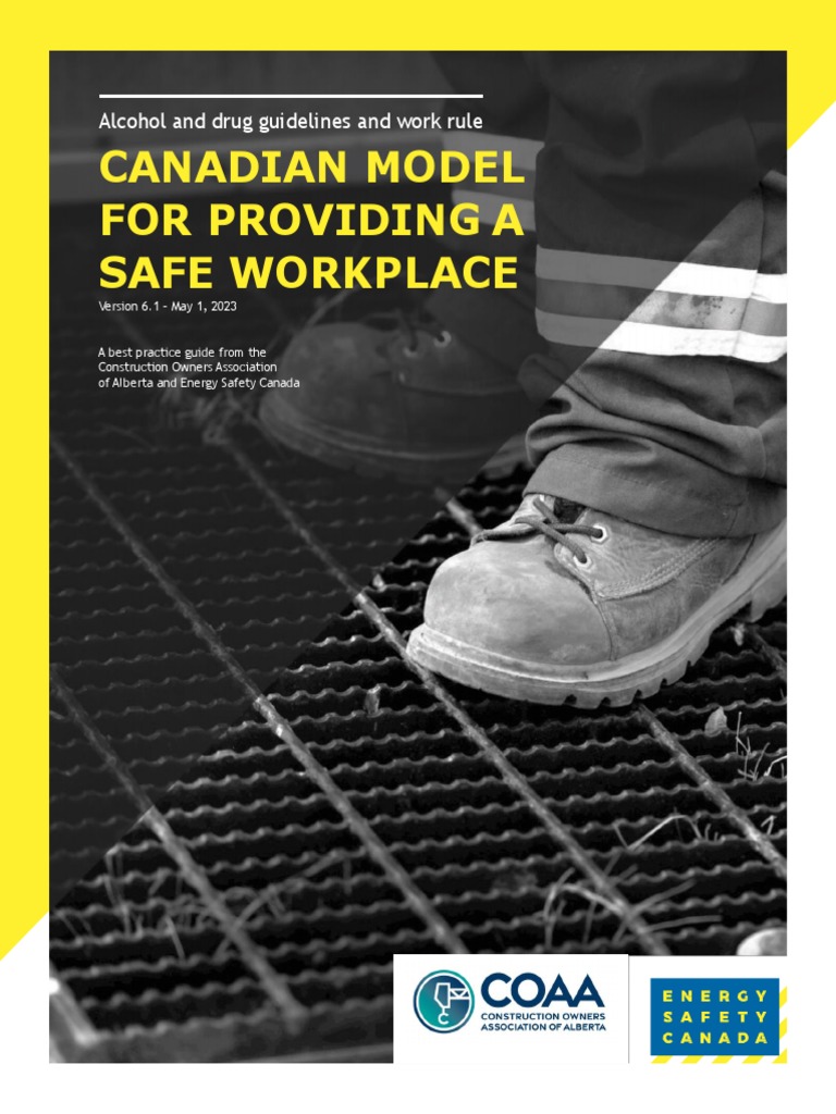 Canadian Model For Providing A Safe Workplace | PDF | Drug Test ...