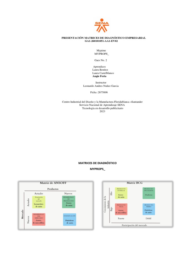 Ga1 260101051 Aa1 Ev02 Presentacion Matrices | PDF