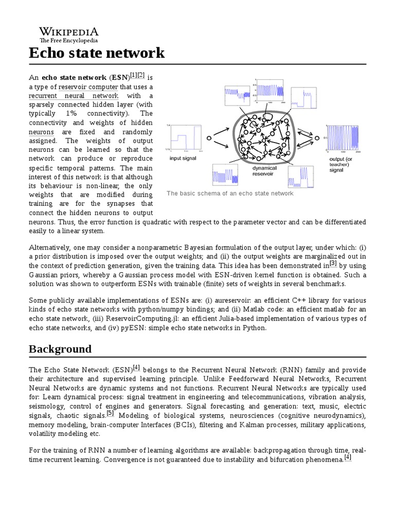 Echo State Network | PDF | Computational Neuroscience | Learning