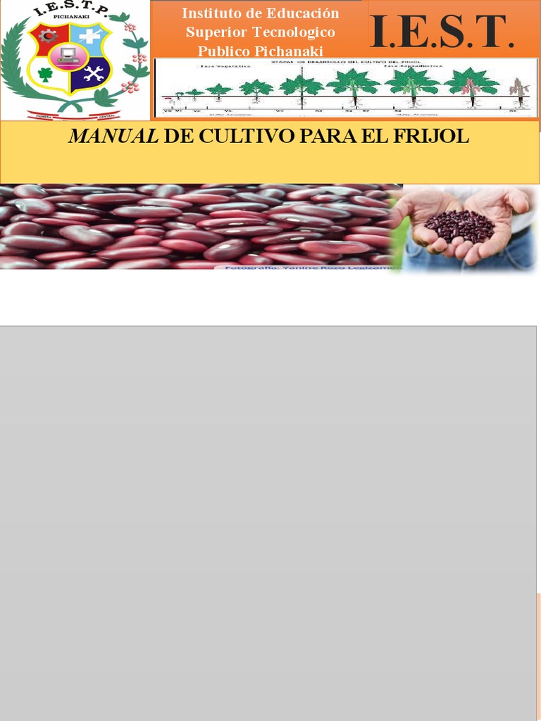 Manual de Cultivo de Frijol | PDF | Siembra | Arado