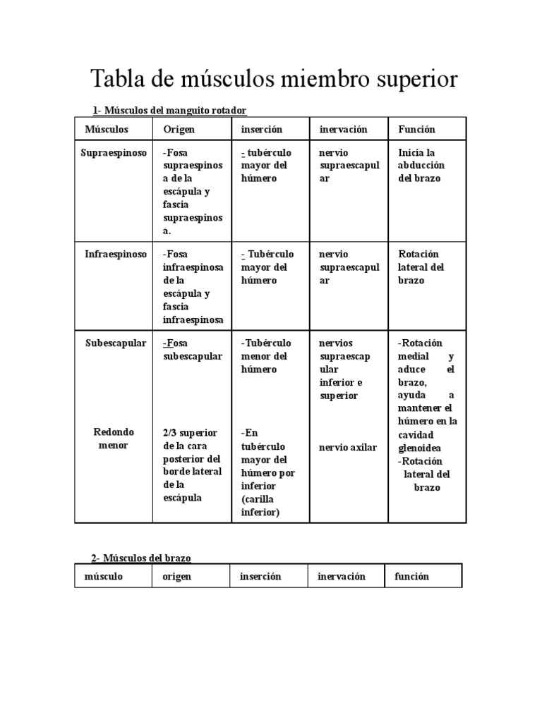 Tabla de Músculos Miembro Superior | PDF | Mano | Codo