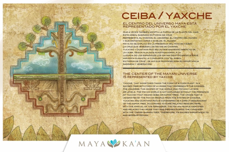 Yaxche | PDF