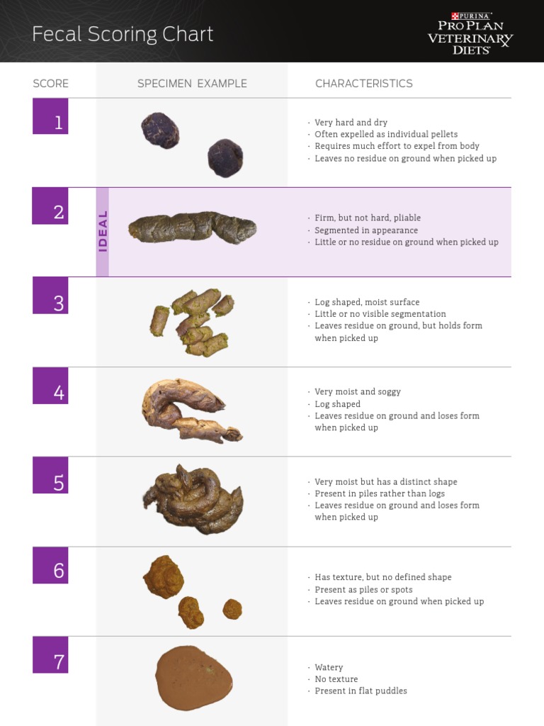 Dog Fecal Scoring Chart Guide | PDF | Feces | Diseases And Disorders