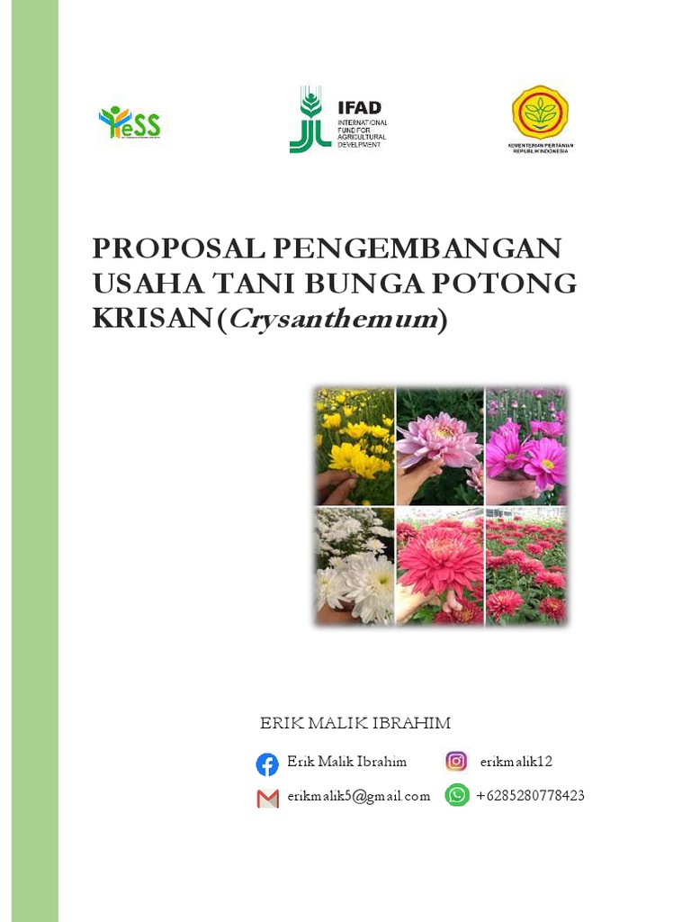 Proposal - Erik Malik | PDF