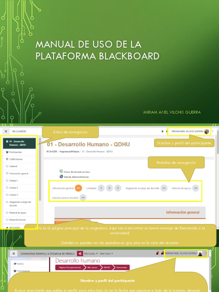 Manual de Uso de La Plataforma BLACKBOARD | PDF | Informática | Aprendizaje