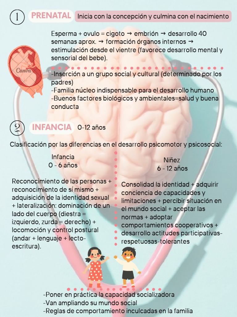 Etapas Del Desarrollo Humano Pdf Juventud Infancia