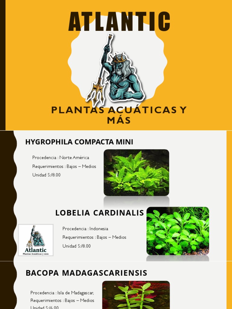 ATLANTIC CATALOGO Bajos Requerimientos | PDF