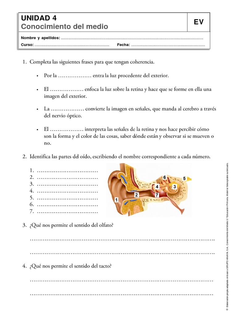Conocimiento Tema 4 Ev | PDF