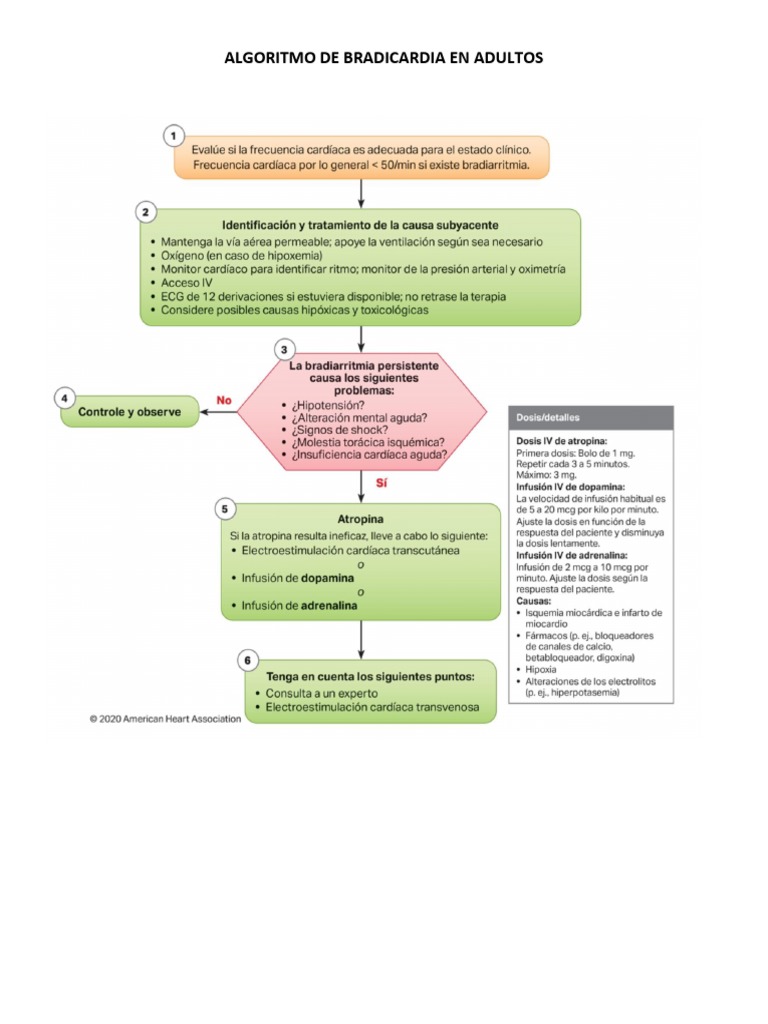 Algoritmos AHA | PDF