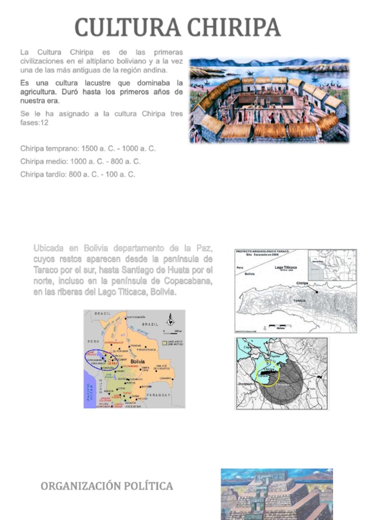 Presentación2 chiripa | PDF