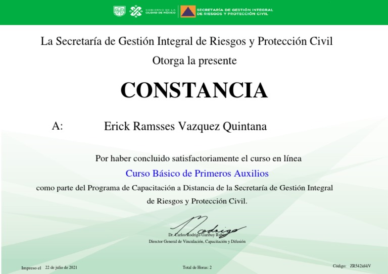 Constancia | PDF
