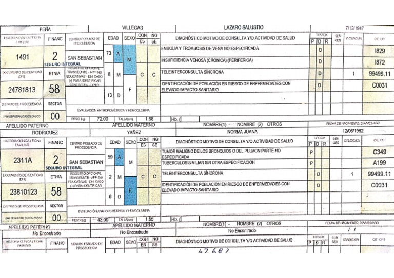 Modelo His Minsa Teleinterconsultas 2023 | PDF