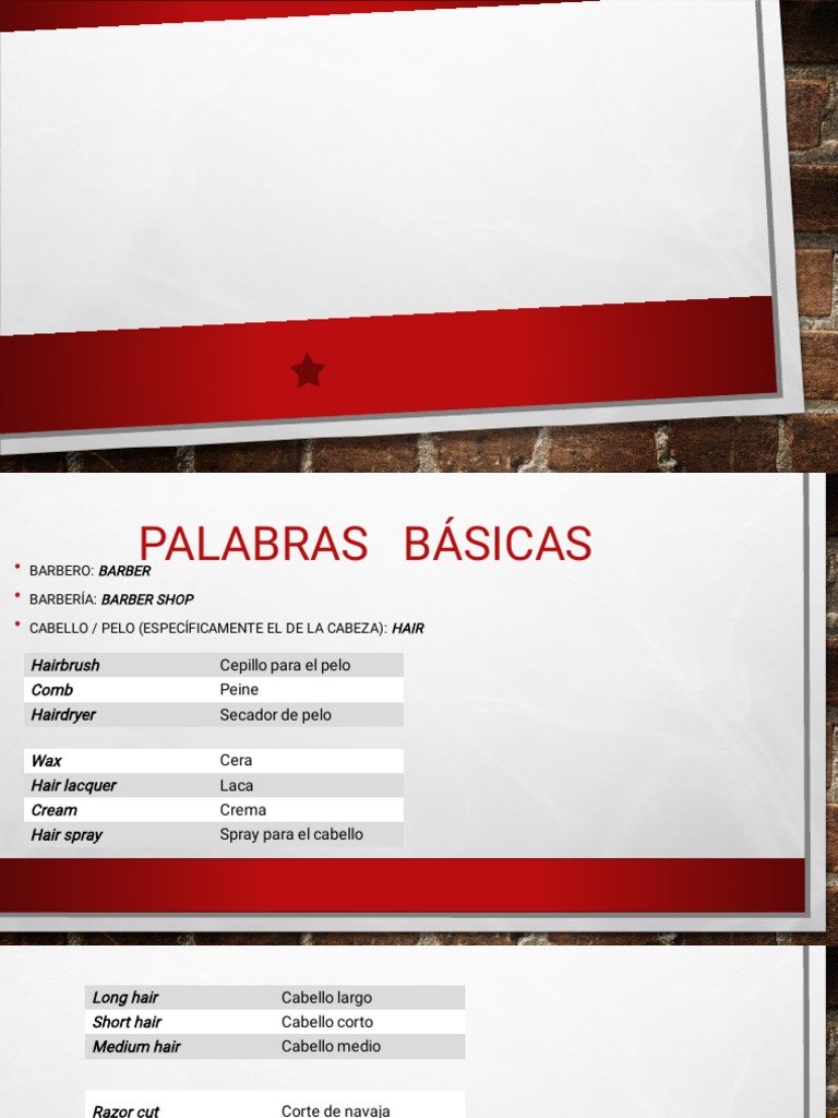 Vocabulario Básico de Peluquería | PDF