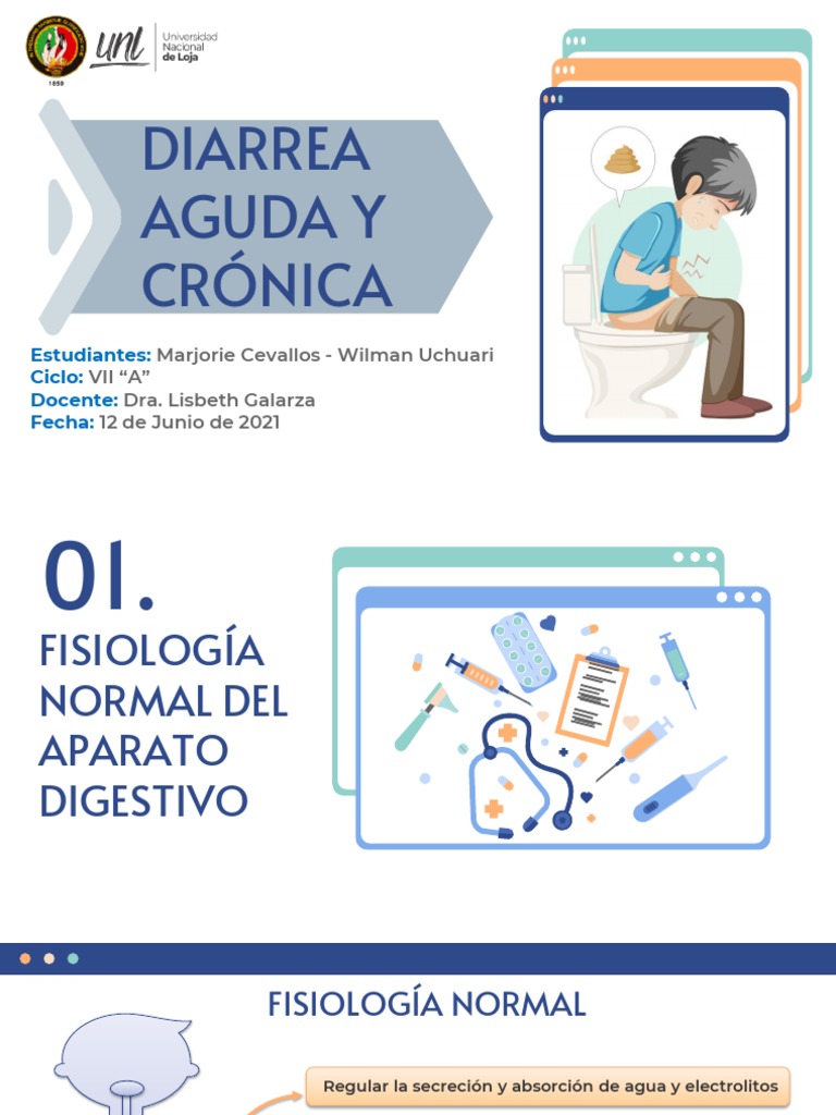 Diarrea Aguda y Crónica | PDF | Diarrea | Digestión