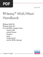 EN RNAlater Handbook | PDF | Qiagen | Gene Expression