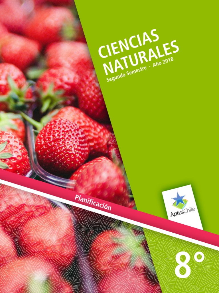 OCTAVO. Básico NATURALES CIENCIAS. Planificación para El Profesor ...