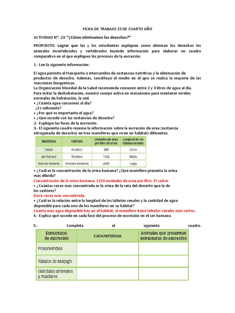 Ficha 6 Cuarto | PDF | Hogar, jardinería y bricolaje | Salud y bienestar
