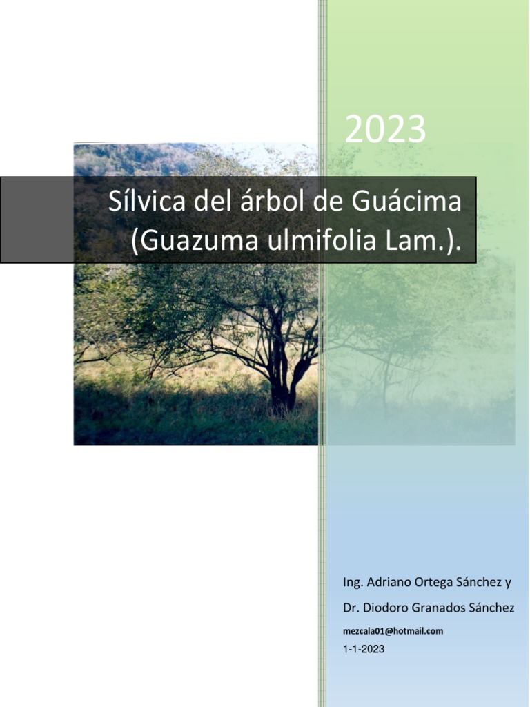 023 Silvica de Guacima | PDF | Semilla | Arboles