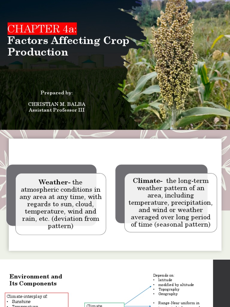 Chapter 4a Factors Affecting Crop Production | PDF | Greenhouse Effect ...