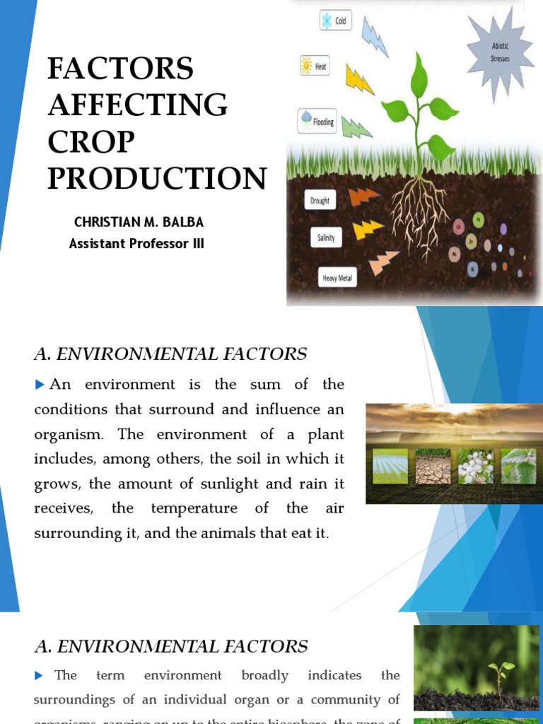 Chapter 4. Factors Affecting Crop Production | PDF | Soil | Precipitation