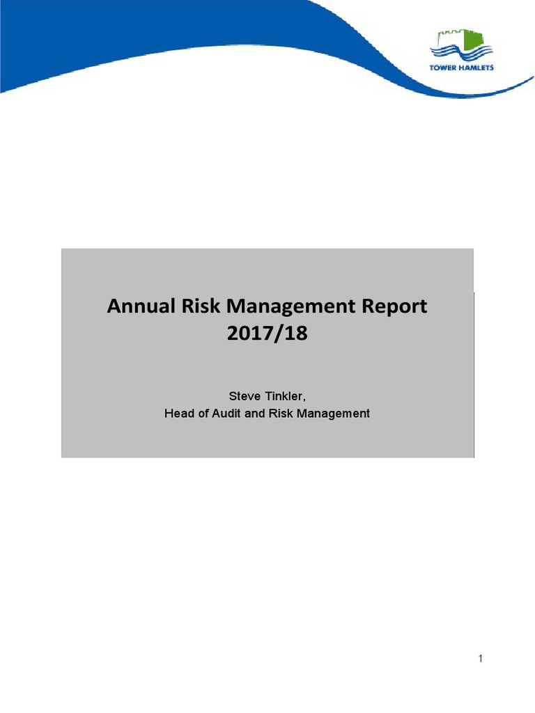 Annual Risk Management Report Sample | PDF | Risk Management | Risk