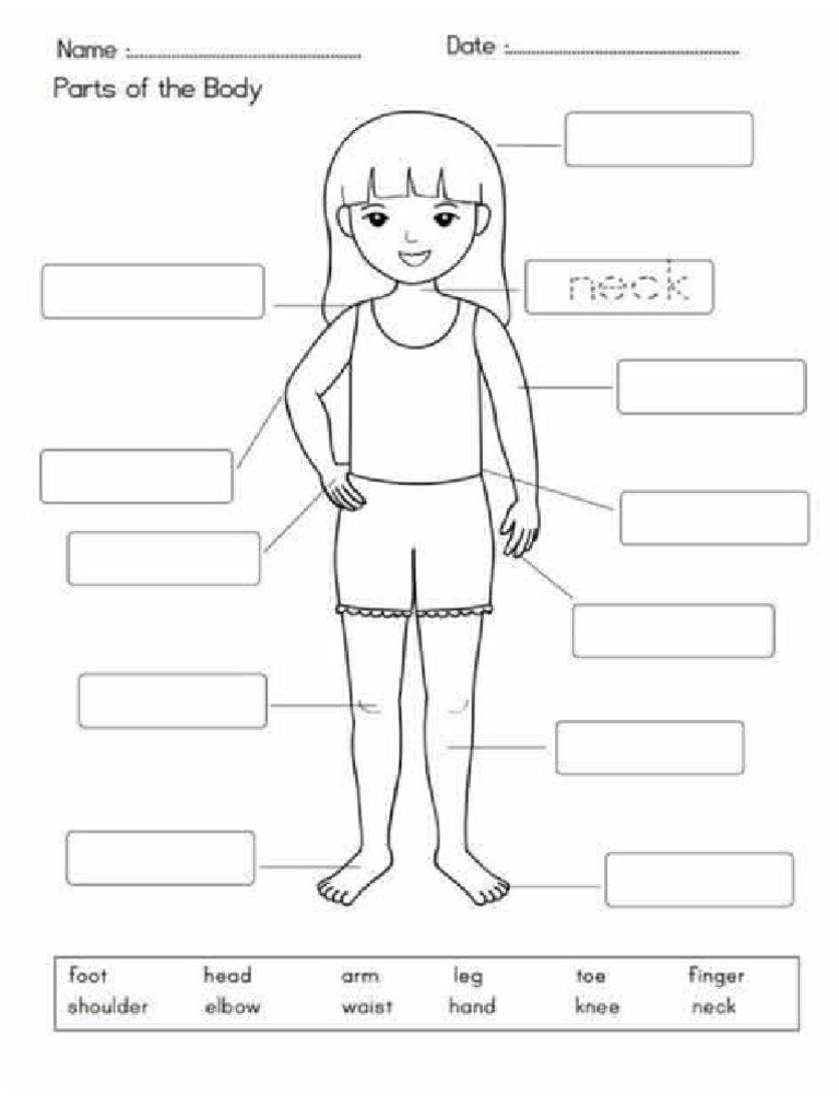 Body Parts. Print | PDF