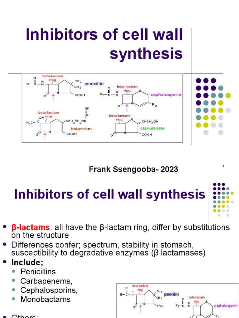 Cell Wall Inhibitors - Pharmacology 3 - Frank Ssengooba | PDF ...