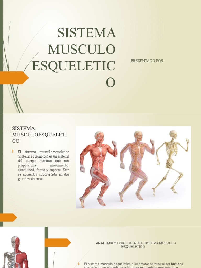 Sistema Musculo Esqueletico. | PDF | Músculo | Articulación