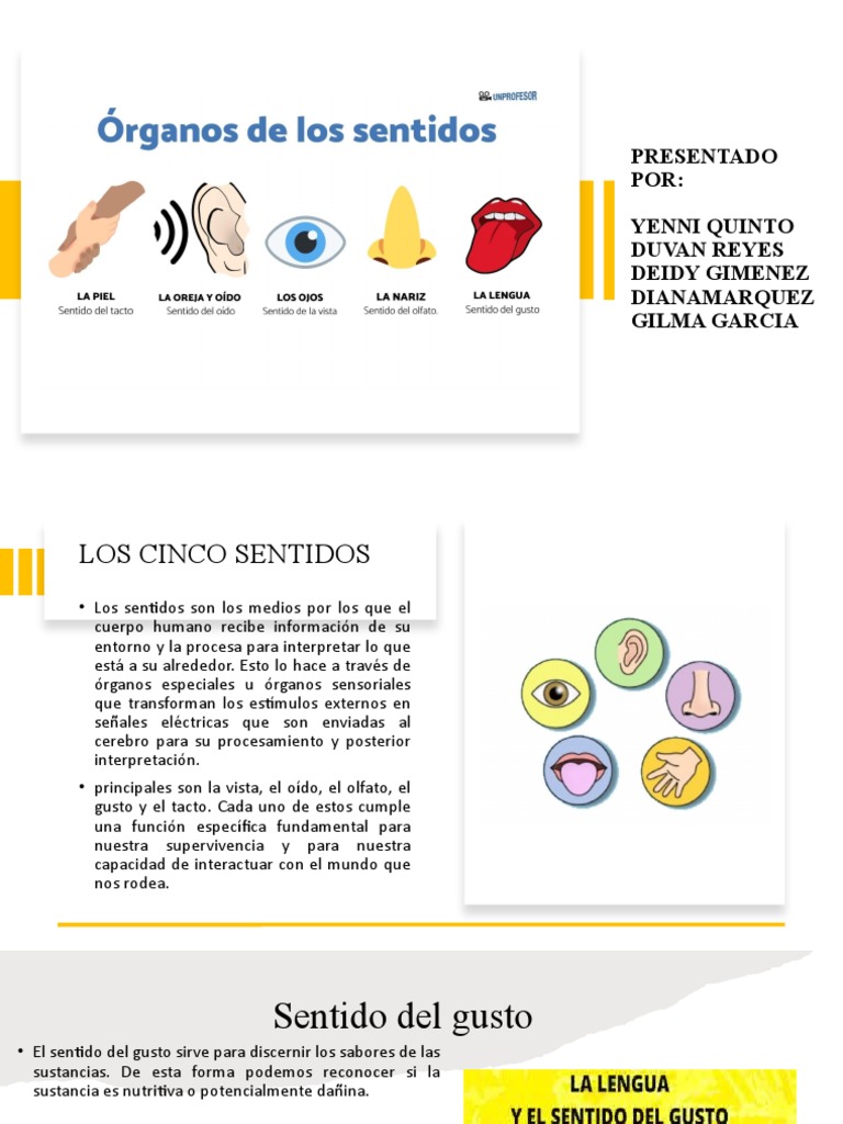 Funciones de los cinco sentidos | PDF | Oído | Escuchando
